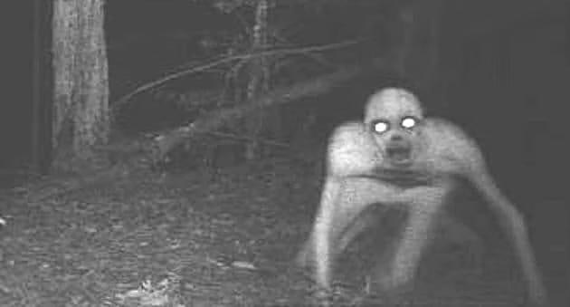 GLI SKINWALKER: LEGGENDE, MITI E MISTERI | P. I. B